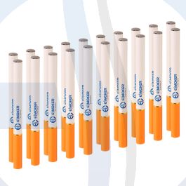 20 Pack Disposble Vapes from EsmokerCanada Inc for only CA$144.99